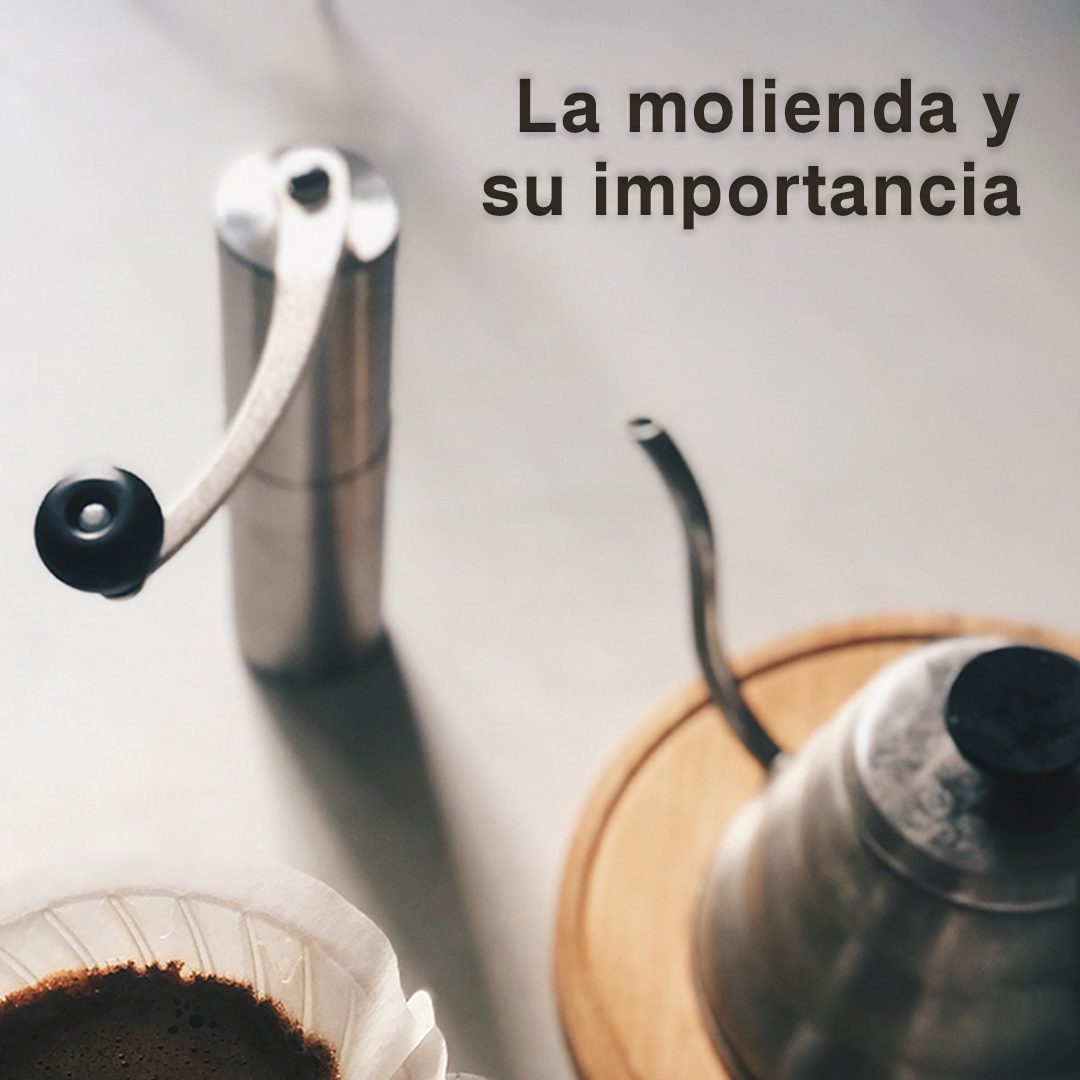 Cómo Moler el Café Perfecto: Consejos para Sacar el Máximo Sabor ...